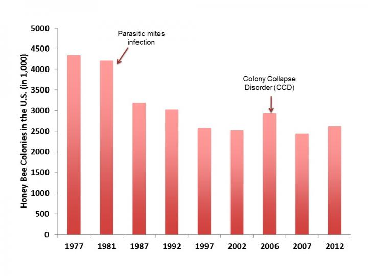 Decline in Honey Bee colonies [IMAGE] | EurekAlert! Science News Releases