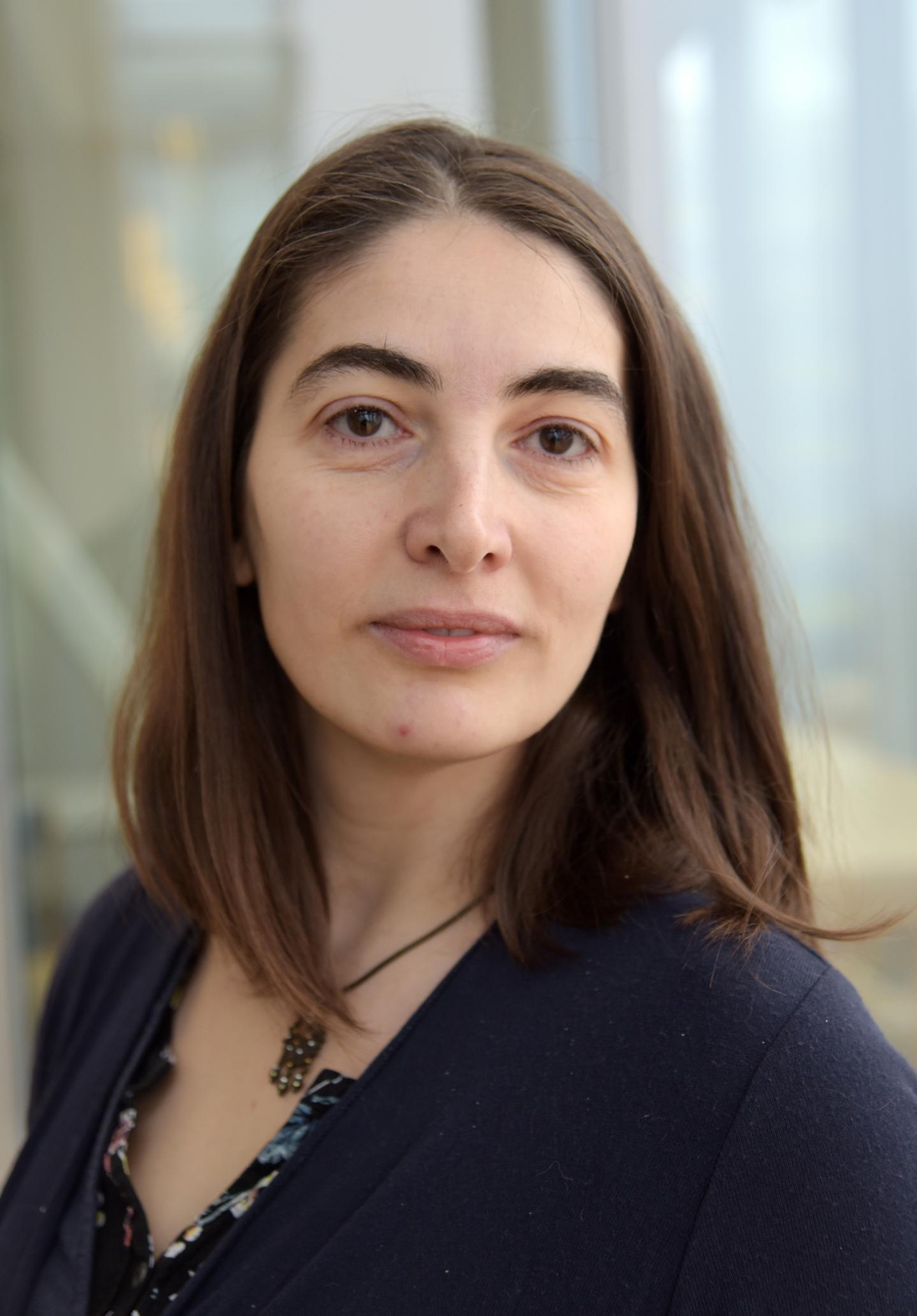 Our bodies may cure themselves of diabetes in | EurekAlert!