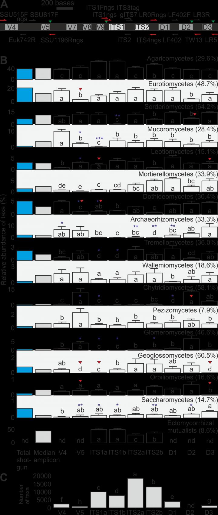 Microbial diversity insights are often strong | EurekAlert!
