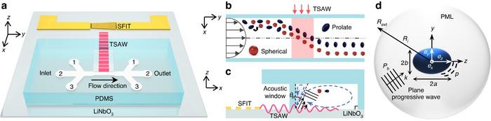 Schematic diagram of an acoust [IMAGE] | EurekAlert! Science News Releases