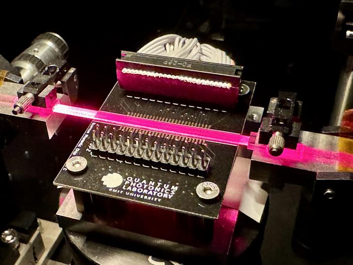 The team’s reprogrammable ligh [IMAGE] | EurekAlert! Science News Releases