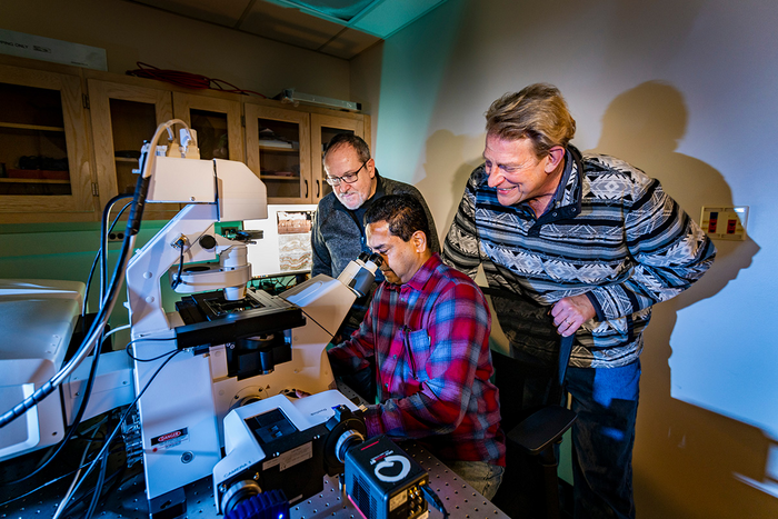 U. of I. Researchers [IMAGE] | EurekAlert! Science News Releases