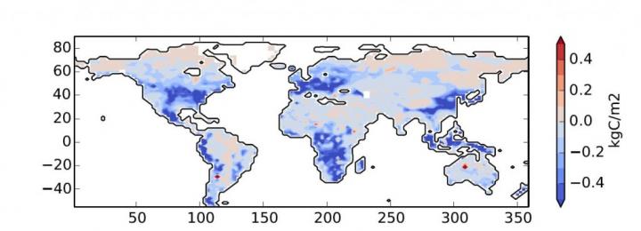 Soil Carbon Model [IMAGE] | EurekAlert! Science News Releases