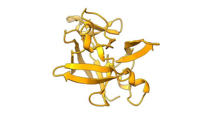 Anakinra Durg Molecule [IMAGE] | EurekAlert! Science News Releases