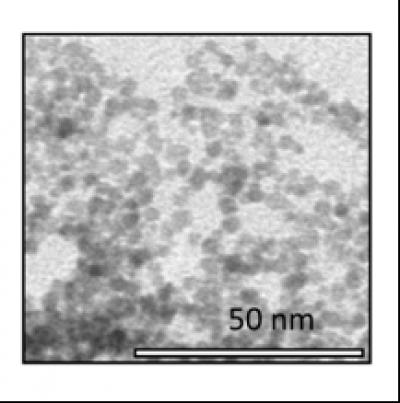 Cerium Dioxide Nanoparticles [IMAGE] | EurekAlert! Science News Releases
