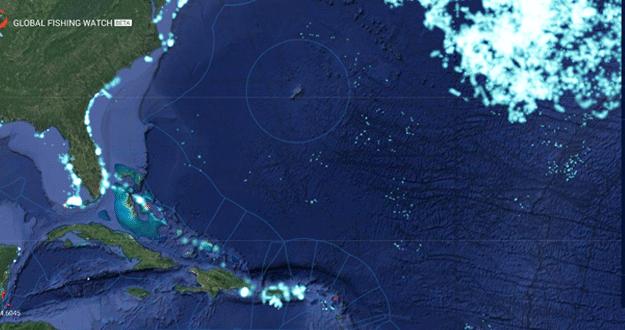 Sargasso Sea: Custom User Laye [IMAGE] | EurekAlert! Science News Releases