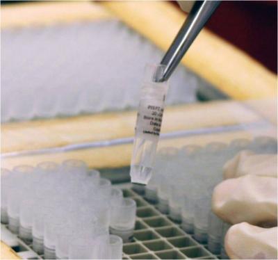 A New Era of Malaria Vaccine D [IMAGE] | EurekAlert! Science News Releases