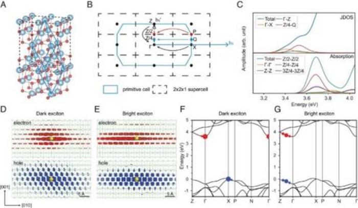 USTC reveals the dynamics of bright-dark exci | EurekAlert!