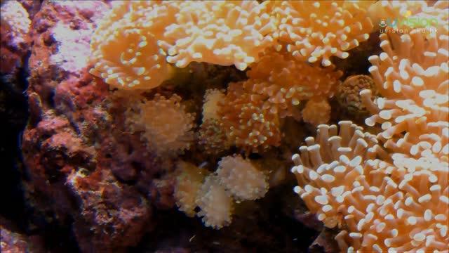 Discovery on past deep-water dynamics in the | EurekAlert!