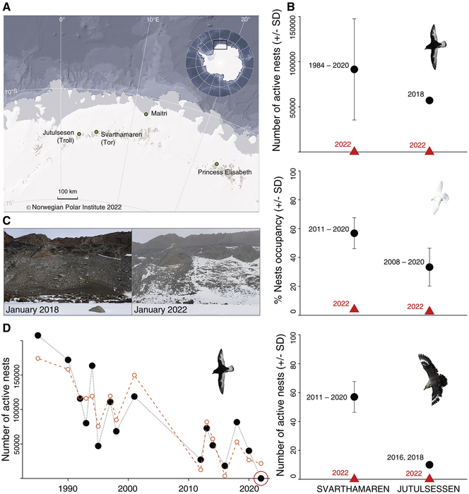 Seabird reproduction in Dronni [IMAGE] | EurekAlert! Science News Releases