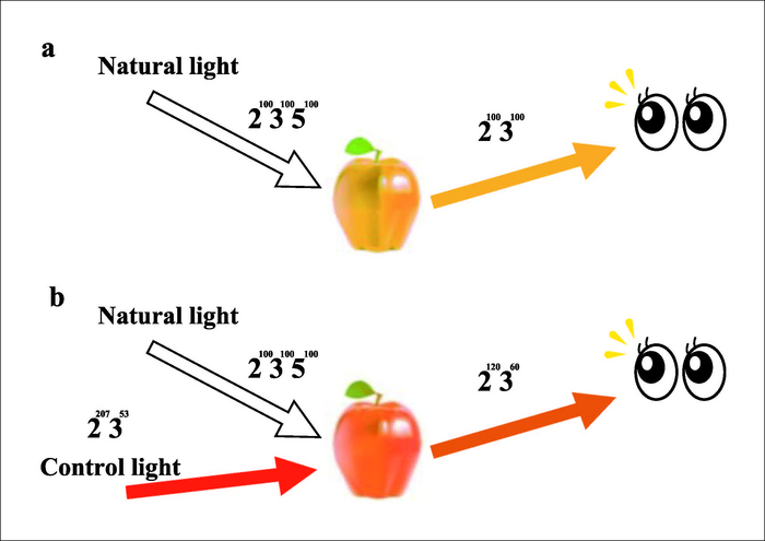 Design of a smart lighting sys [IMAGE] | EurekAlert! Science News Releases