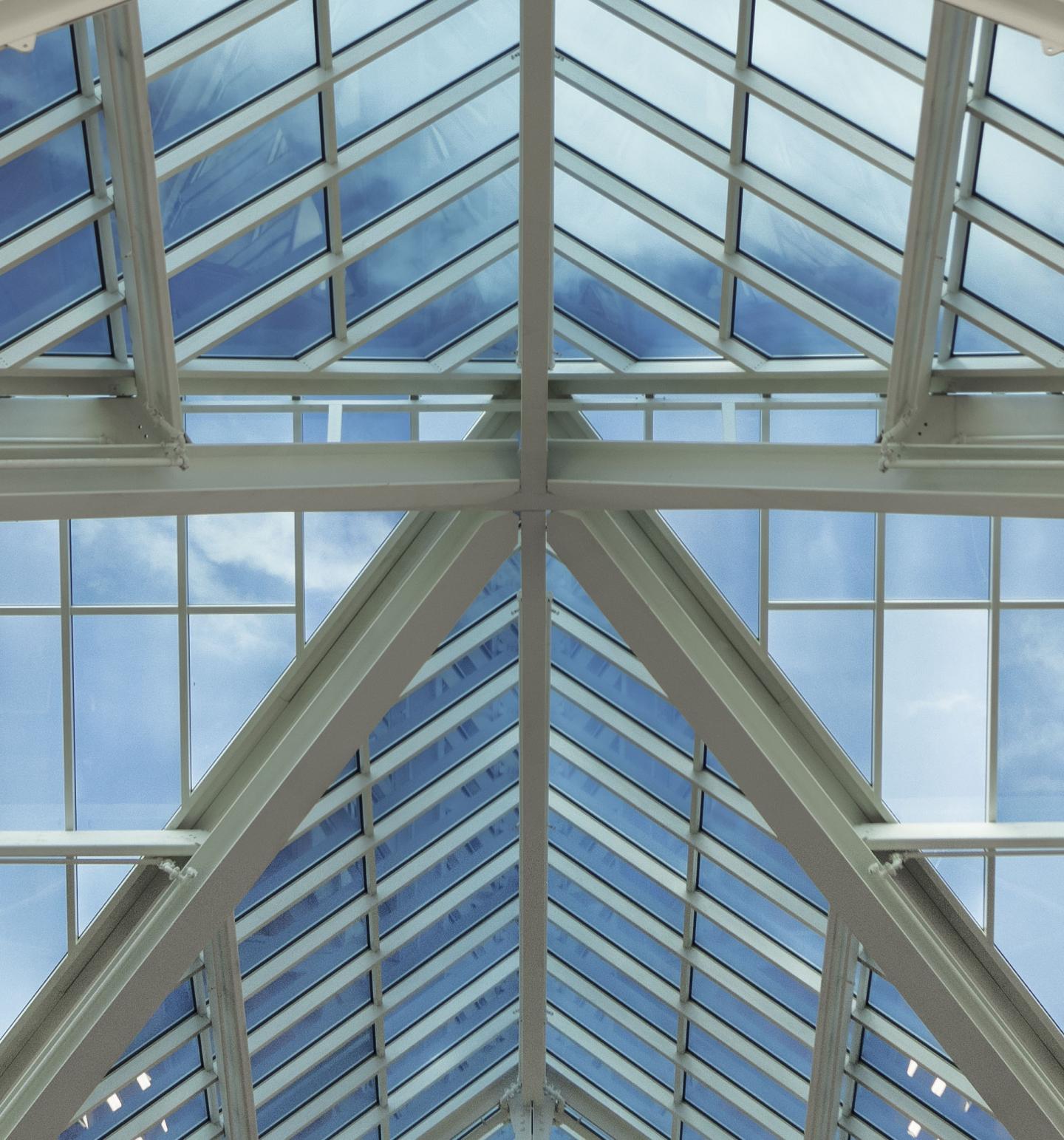 Single nanoparticle dynamics and smart window | EurekAlert!