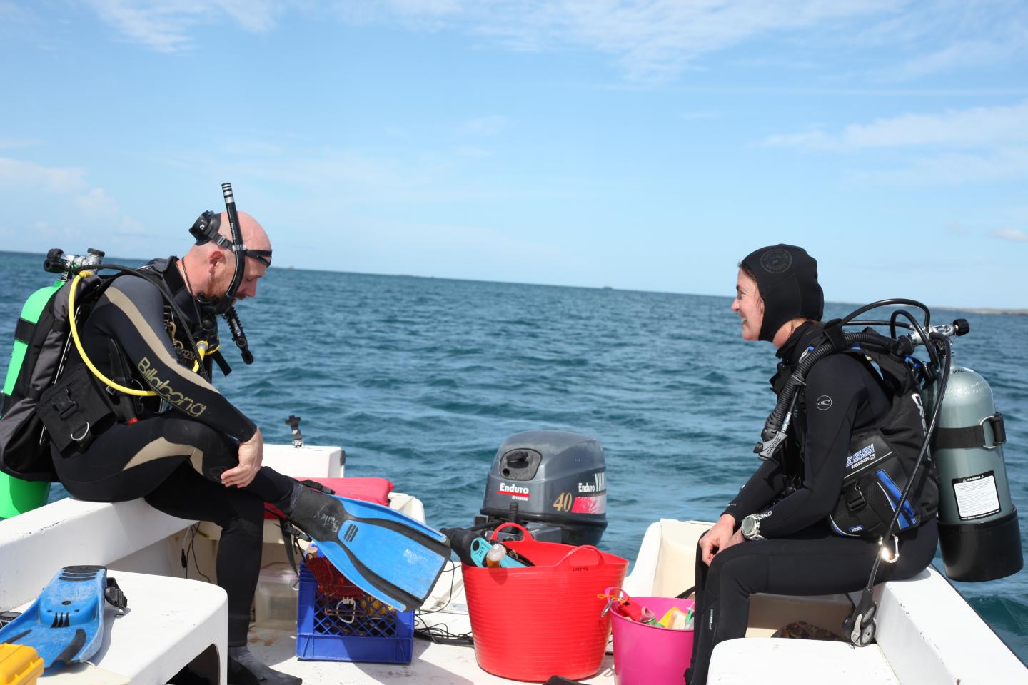 Research Divers at the Seaweed [IMAGE] | EurekAlert! Science News Releases