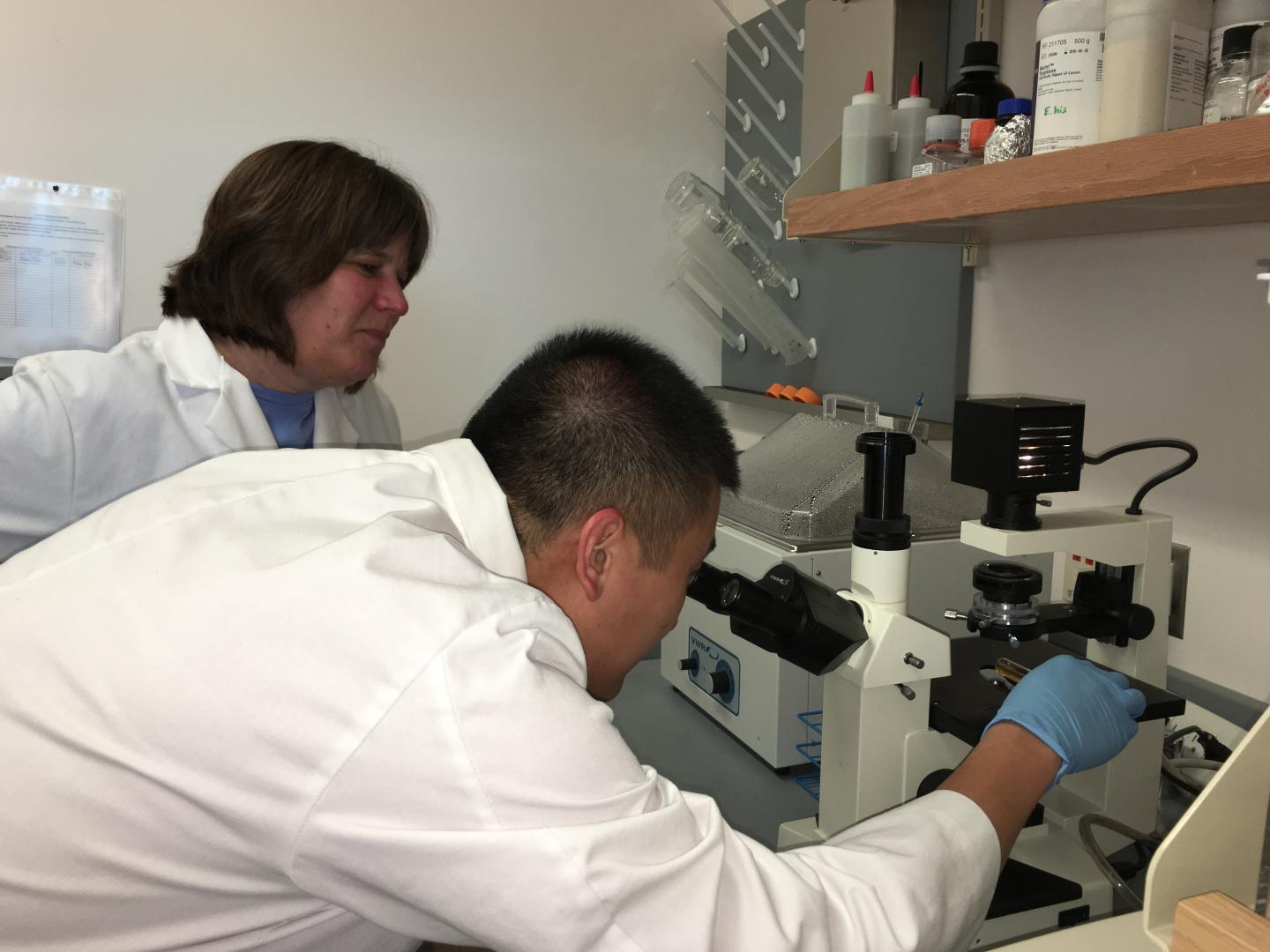 Cheryl-Ingram Smith, Clemson U [IMAGE] | EurekAlert! Science News Releases