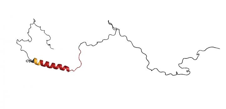 AR Structure [IMAGE] | EurekAlert! Science News Releases