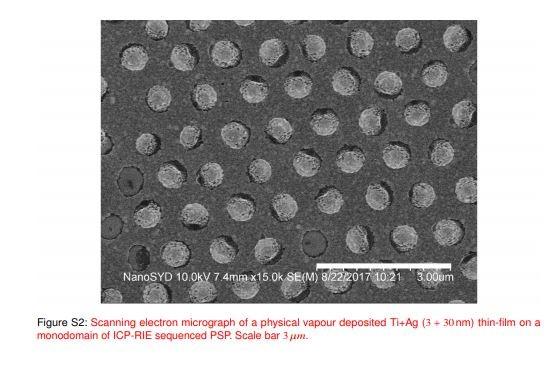Silver Thin-Film with Particle [IMAGE] | EurekAlert! Science News Releases