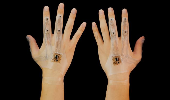 Developed stretchable hybrid h [IMAGE] | EurekAlert! Science News Releases