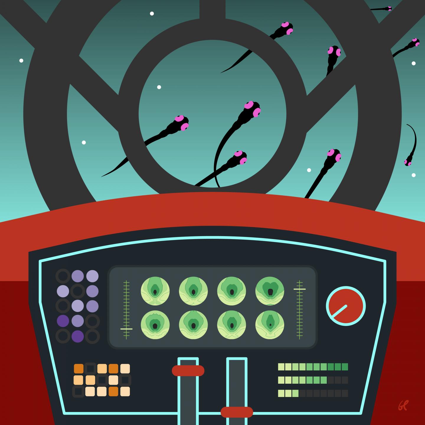 How Many Become One [IMAGE] | EurekAlert! Science News Releases