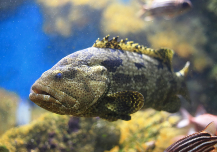 Image 1 [IMAGE] | EurekAlert! Science News Releases