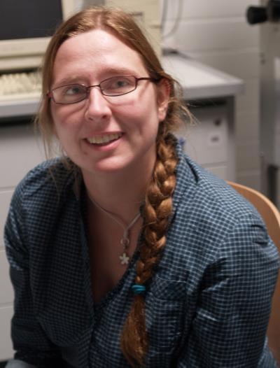 Reducing CO2 emissions by photochemical recyc | EurekAlert!