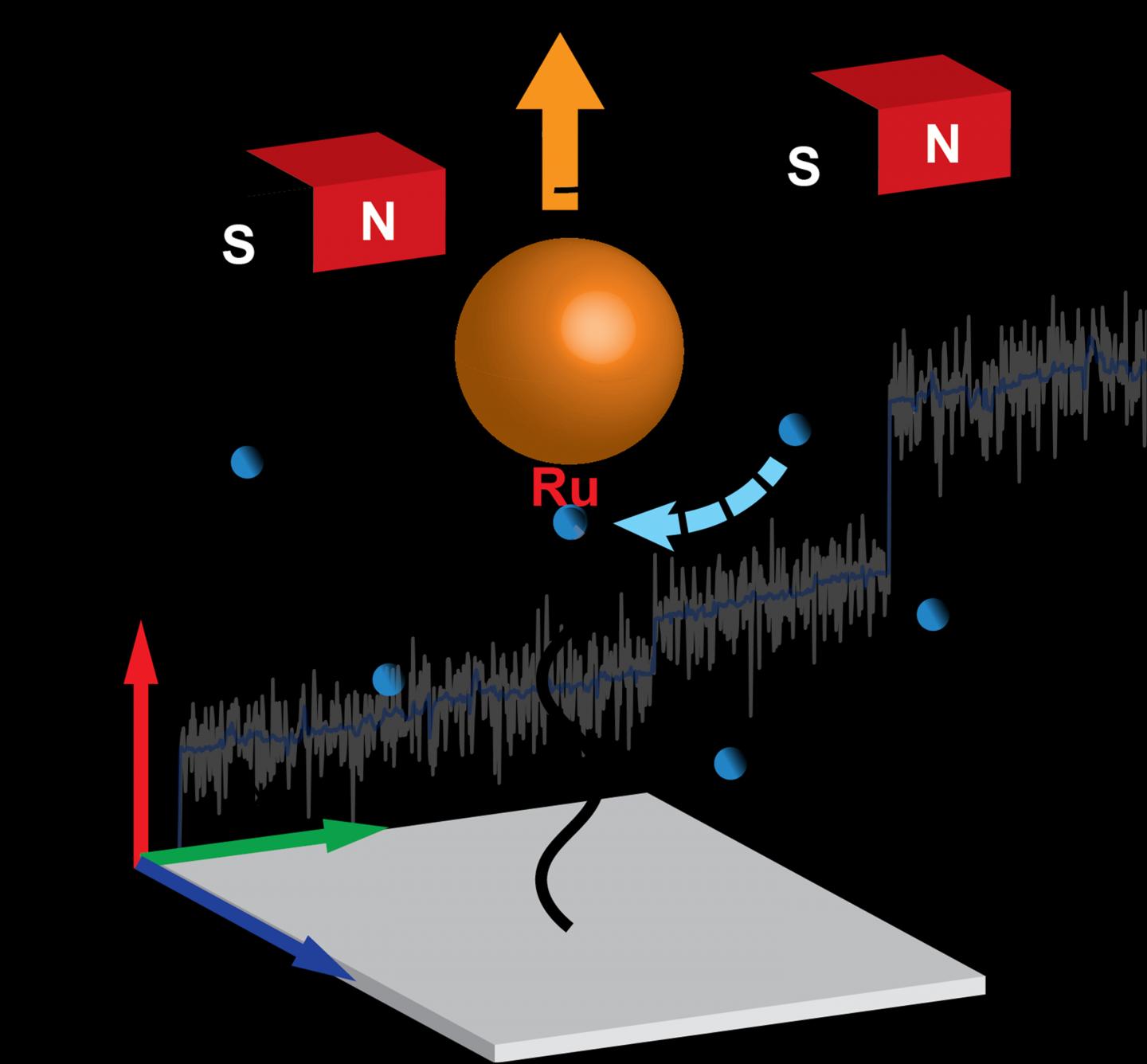 Extension vs. Time Trace [IMAGE] | EurekAlert! Science News Releases