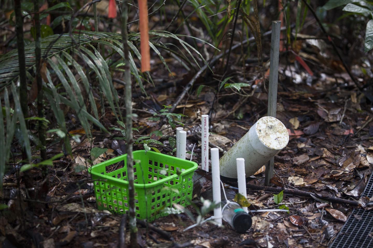 Mini Rhizotron System [IMAGE] | EurekAlert! Science News Releases