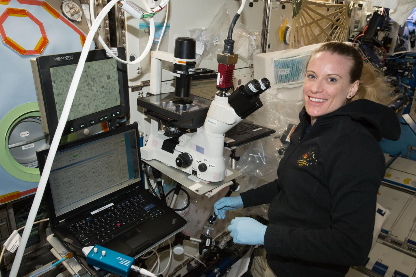 Kate Rubins, NASA [IMAGE] | EurekAlert! Science News Releases