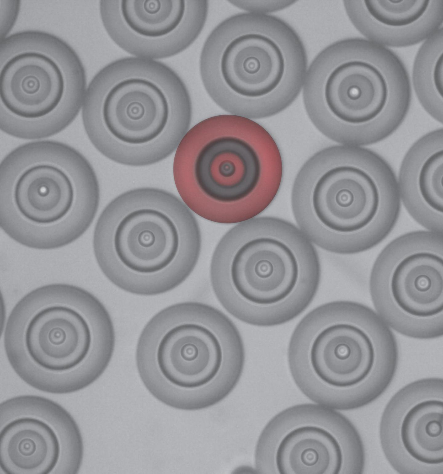 Emulsion With Five Alternating [IMAGE] | EurekAlert! Science News Releases