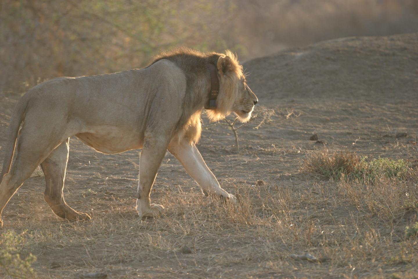 Humans take up too much space -- and it's aff | EurekAlert!