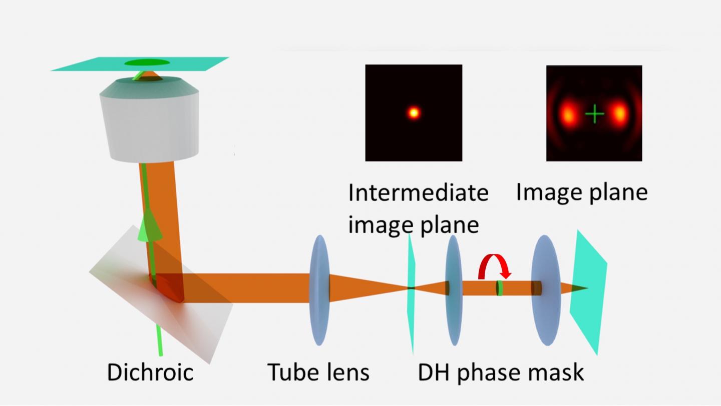 TEMPORAL 1 [IMAGE] | EurekAlert! Science News Releases