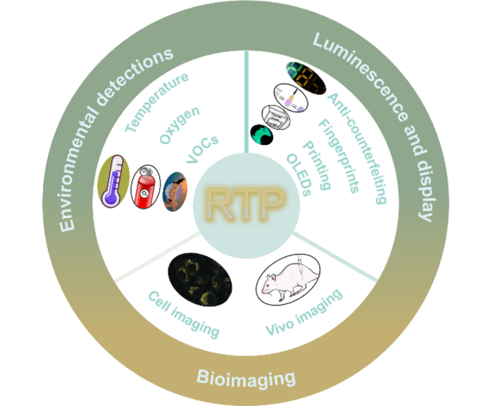 Researchers reviewed recent progress of organ | EurekAlert!