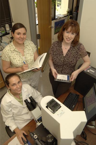 First 'encyclopedia' of nuclear receptors rev | EurekAlert!