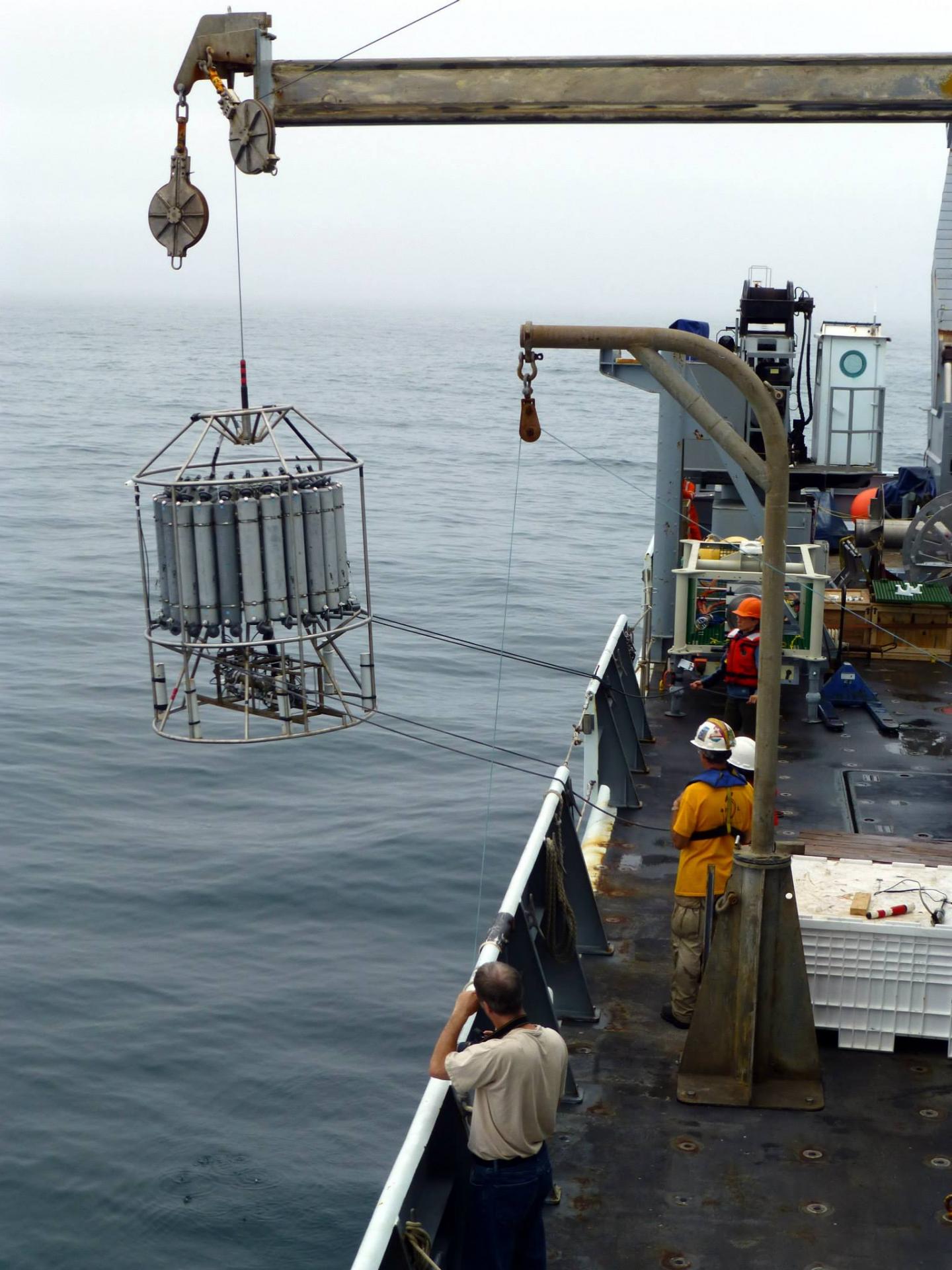 Collecting Samples [IMAGE] | EurekAlert! Science News Releases