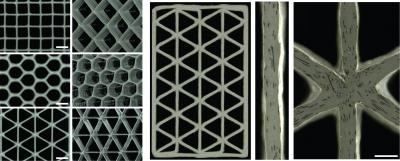 Variety of 3-D Printed Honeyco [IMAGE] | EurekAlert! Science News Releases