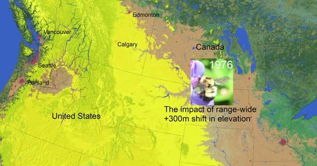 Climate Change: Compressing the Bumblebee Hom | EurekAlert!