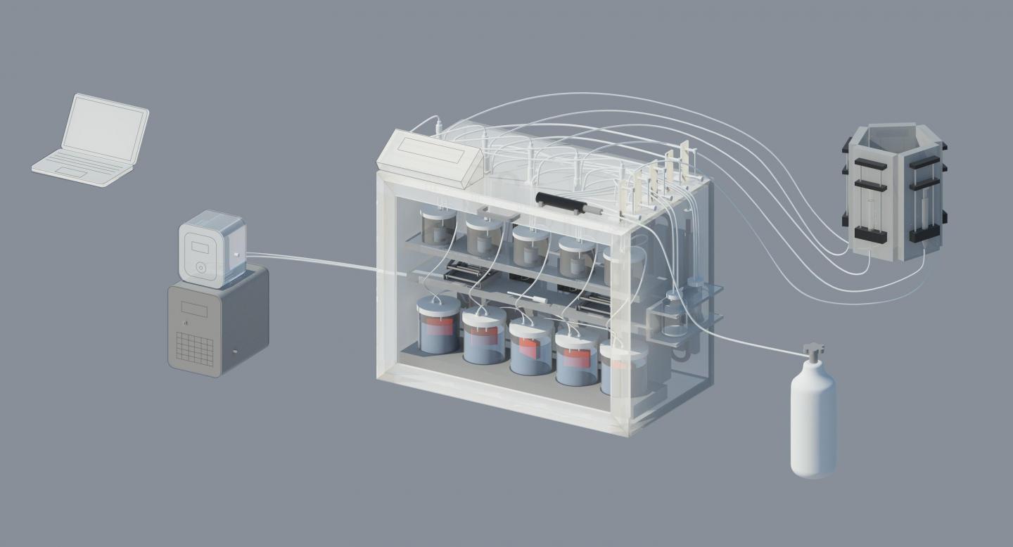 3-D Representation of the TSI [IMAGE] | EurekAlert! Science News Releases