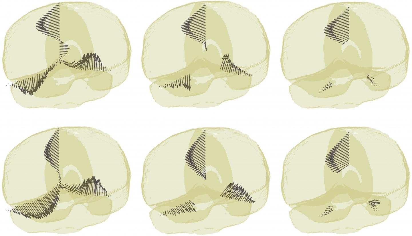 Shearing Effect [IMAGE] | EurekAlert! Science News Releases