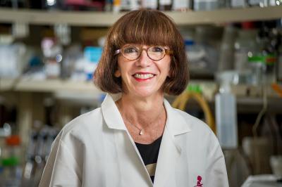 Martine Roussel, Ph.D. [IMAGE] | EurekAlert! Science News Releases