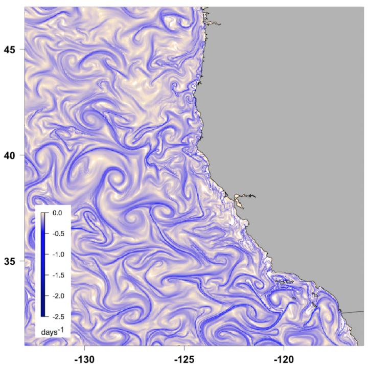 Lagrangian Coherent Structures [IMAGE] | EurekAlert! Science News Releases