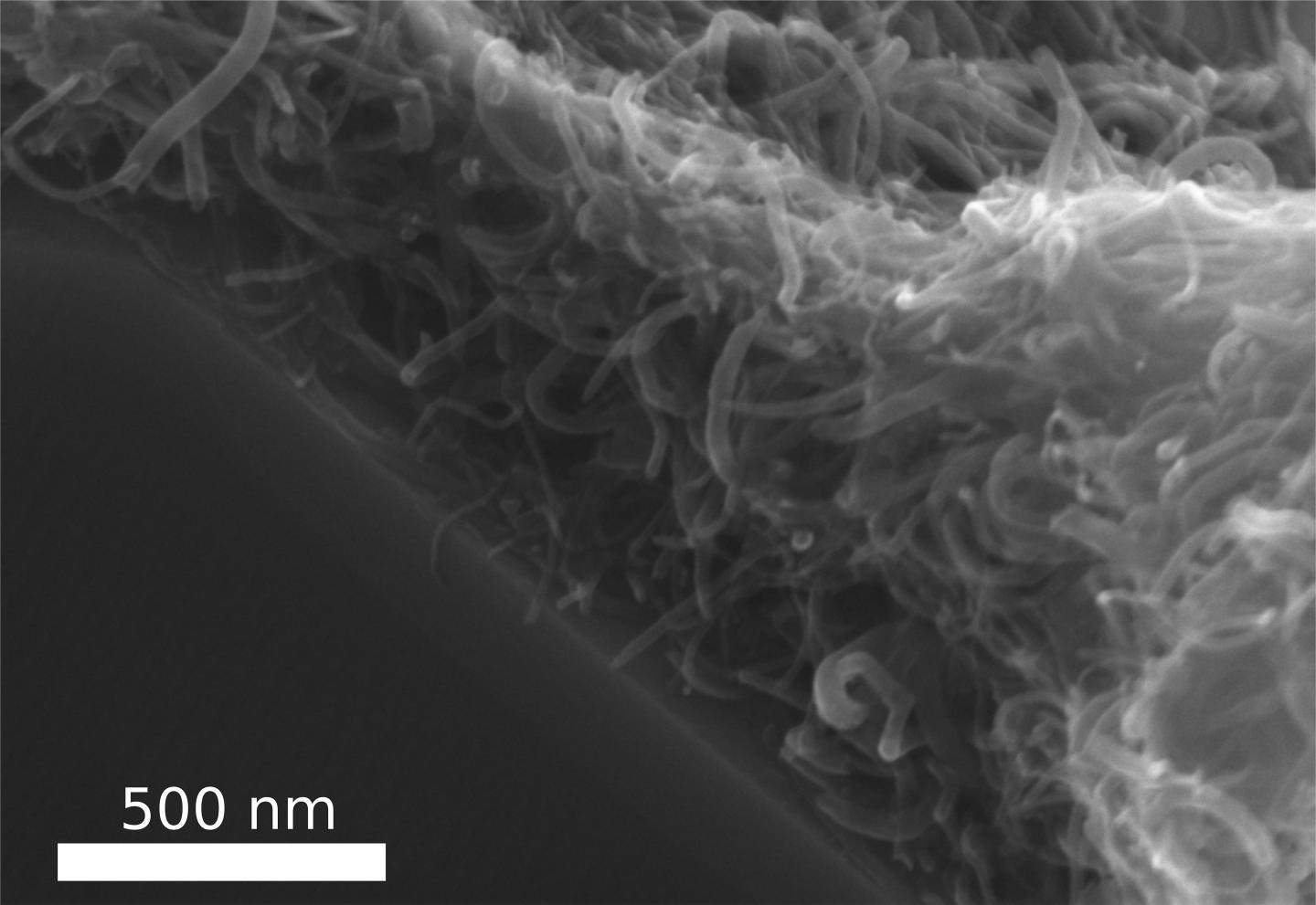 3-D Network of Carbon Nanotube [IMAGE] | EurekAlert! Science News Releases