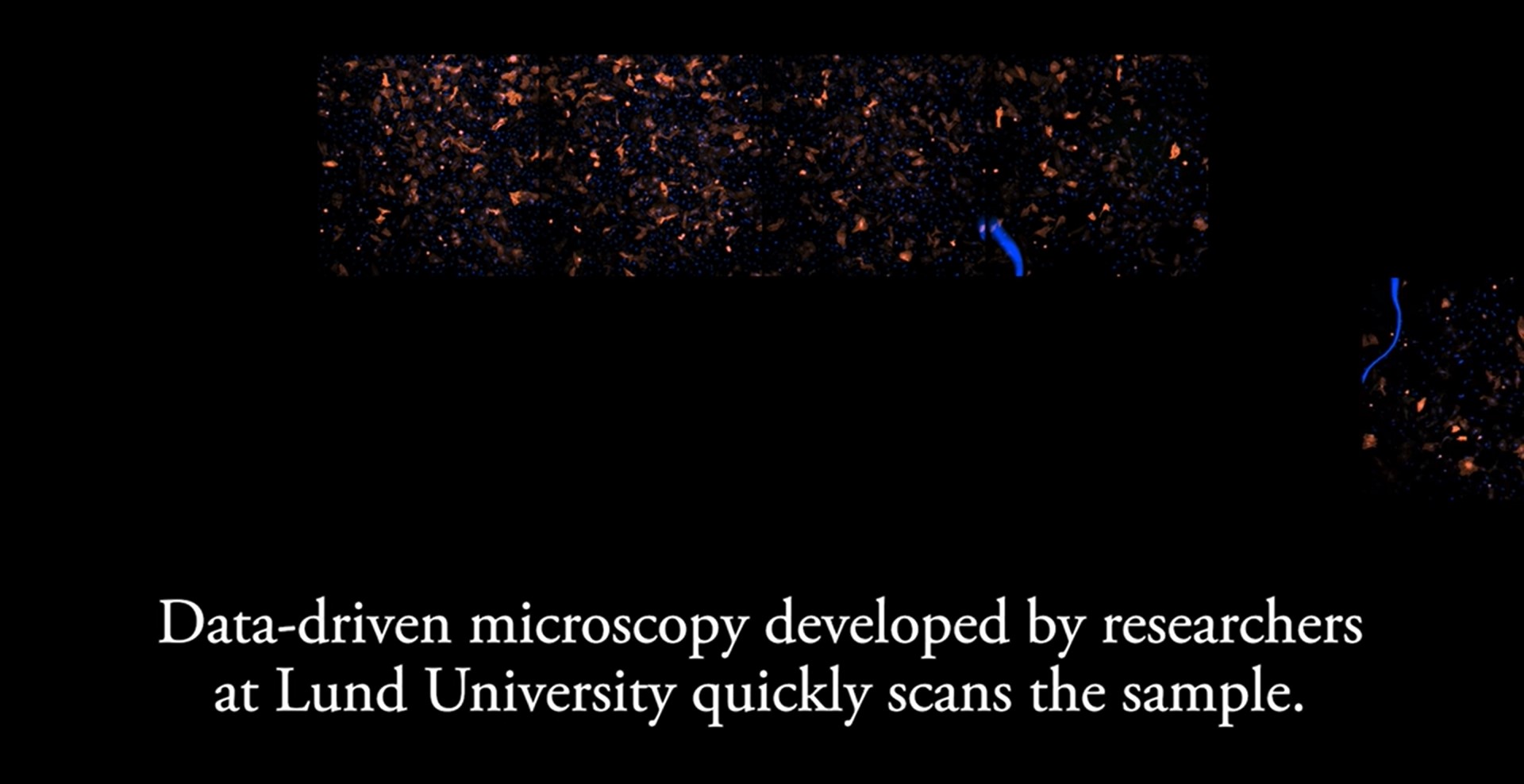 Smart microscopy works out where to take the | EurekAlert!