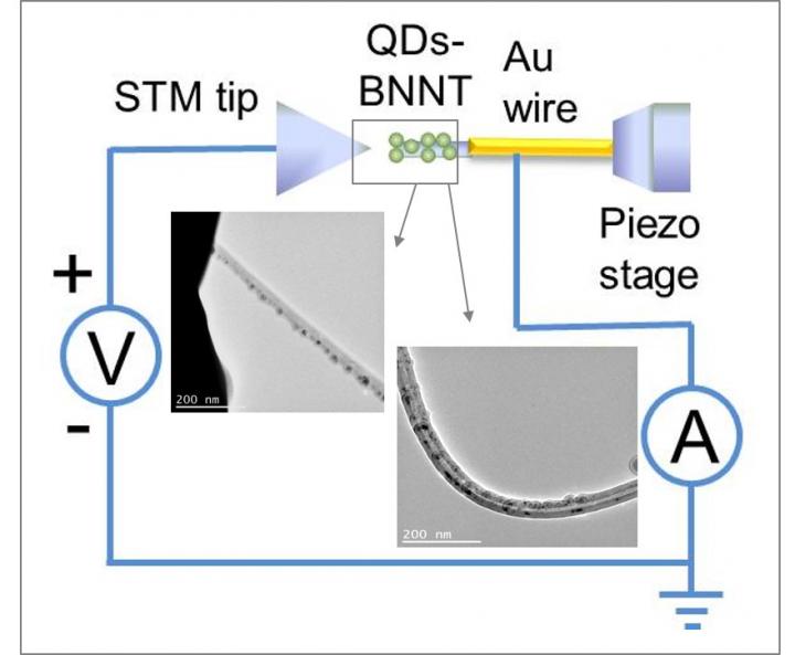BNNT Microscopy [IMAGE] | EurekAlert! Science News Releases