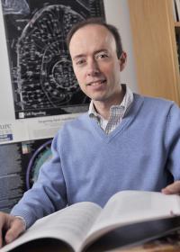 UTSW cancer researchers identify gene mutatio | EurekAlert!