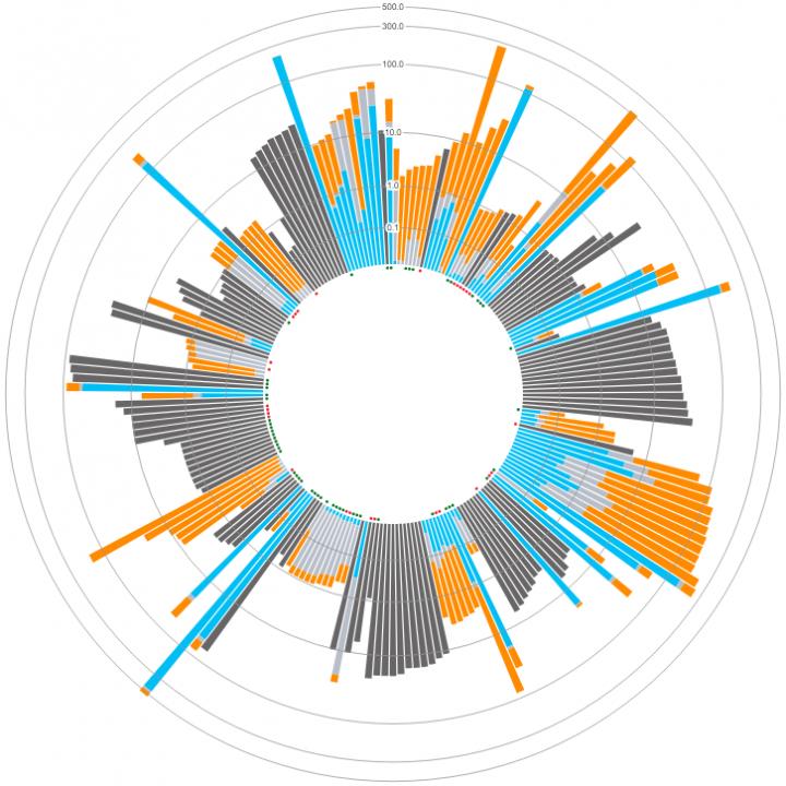 Data Visualization Tool of Car [IMAGE] | EurekAlert! Science News Releases
