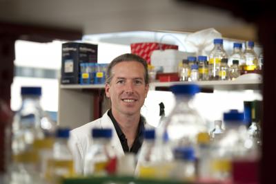 Newly identified cell population key to immun | EurekAlert!