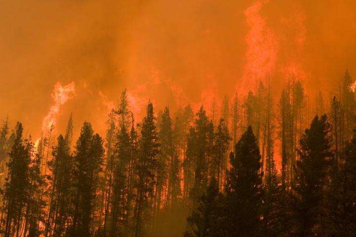 Idaho Wildfire [IMAGE] | EurekAlert! Science News Releases