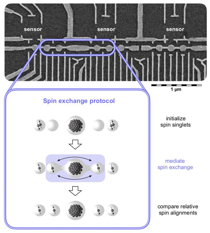 Illustration of Array of Quant [IMAGE] | EurekAlert! Science News Releases