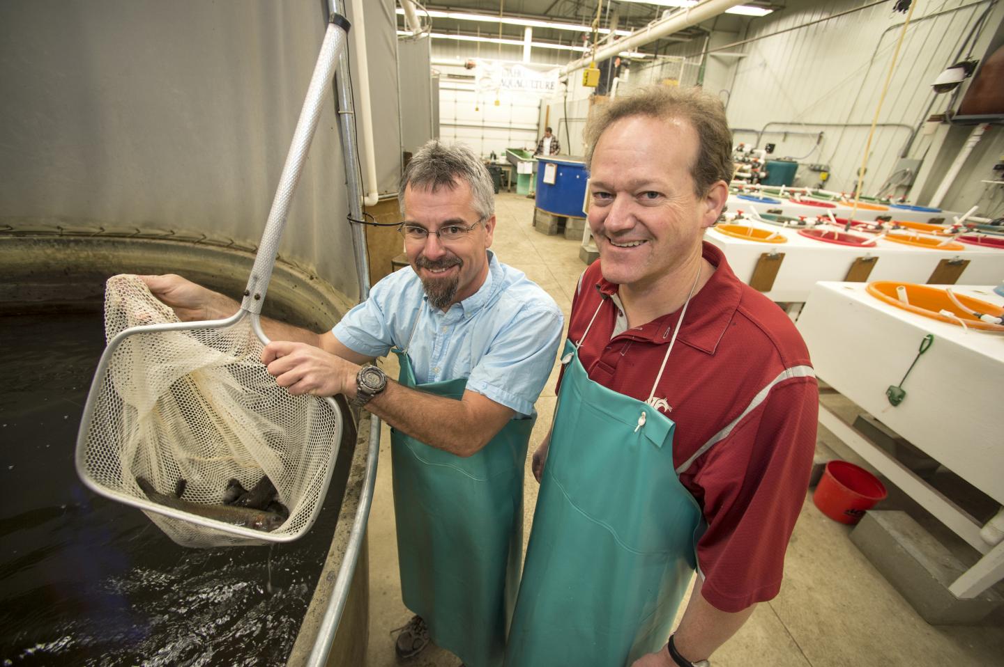 Ken Cain, University of Idaho [IMAGE] | EurekAlert! Science News Releases