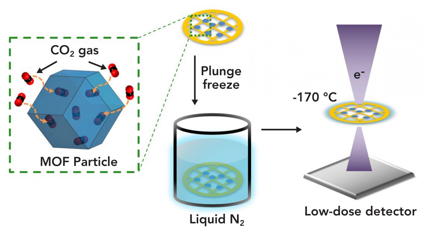 Carbon Dioxide Molecules [IMAGE] | EurekAlert! Science News Releases