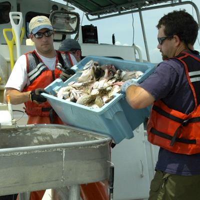 Andre Buchheister and Jason Ro [IMAGE] | EurekAlert! Science News Releases